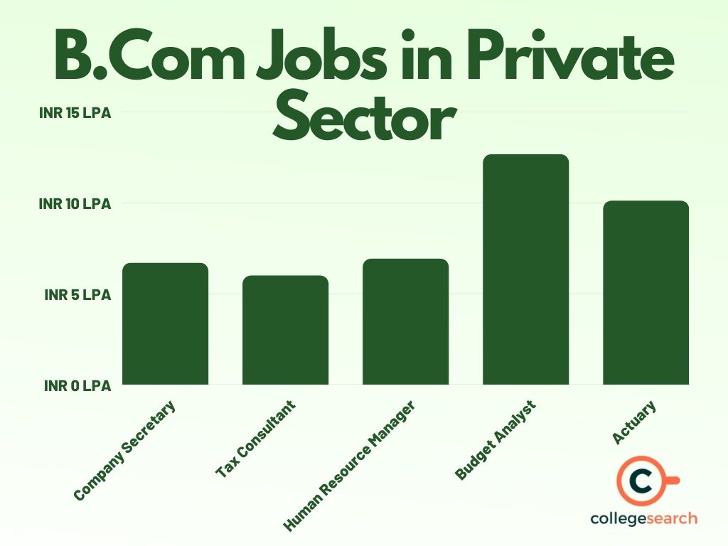 Jobs After BCom Career Options Salary Freshers Experienced Top Jobs After BCom Career Options Salary Freshers Experienced Top